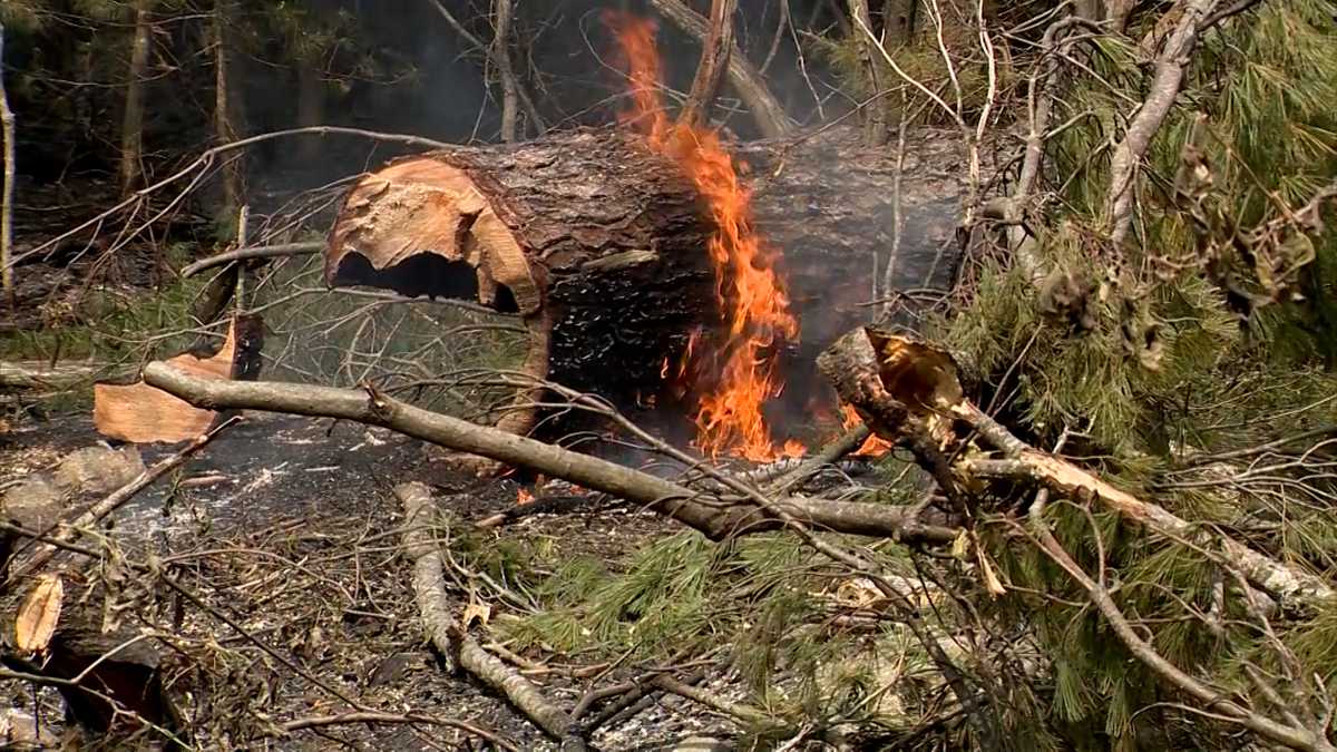 Brush fires in Mass. forests mostly contained amid red flag warning