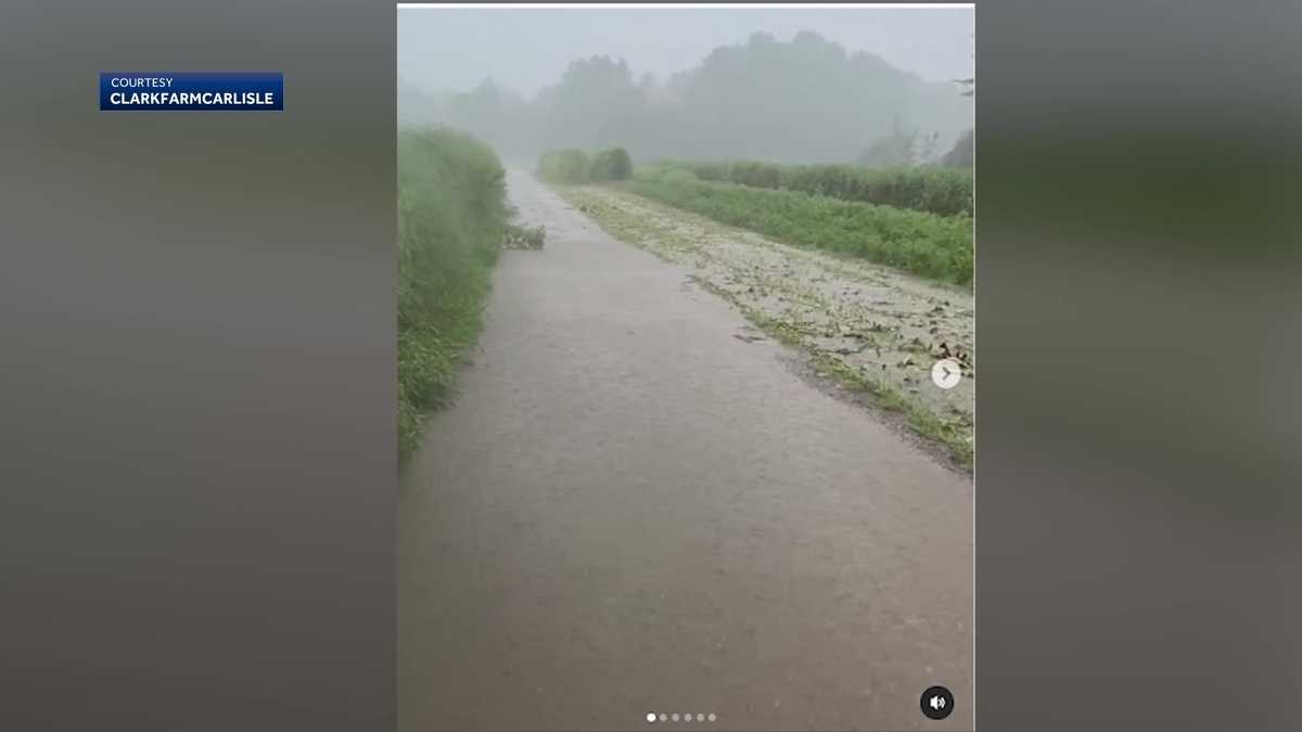 Massachusetts farms impacted by flash flooding, waterlogged crops