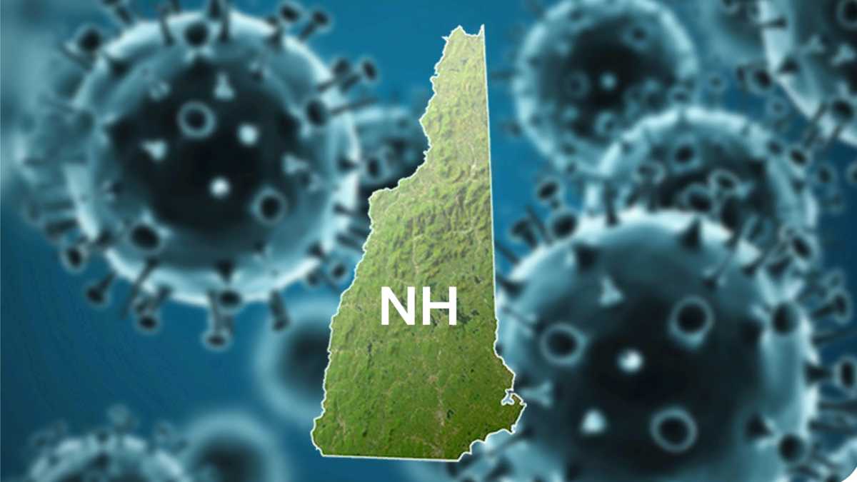 Bird flu found in New Hampshire and Maine