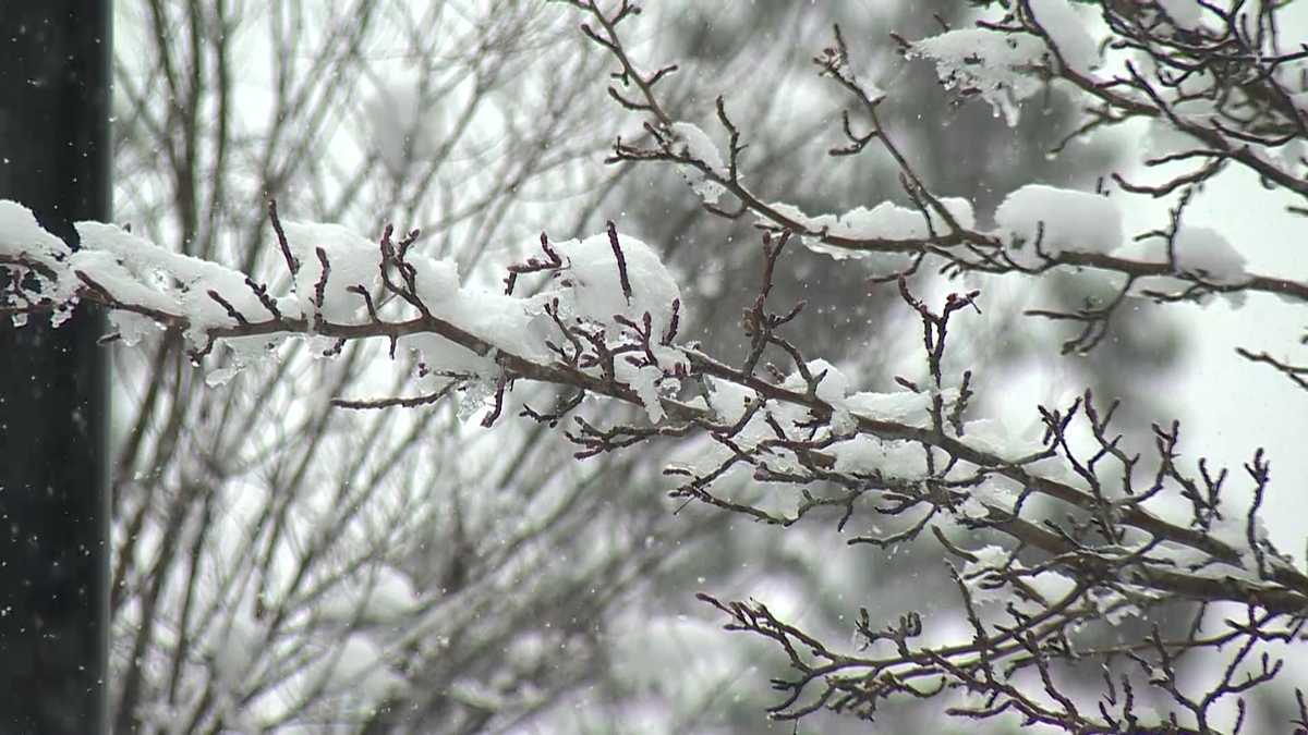 Snow, ice across parts of Mass. create mess, even for businesses used to it