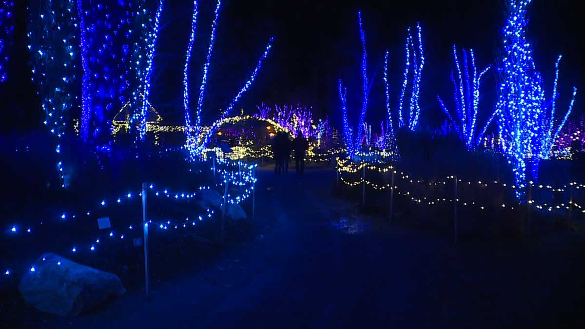 Boothbay garden light show ranked top 3 in the country