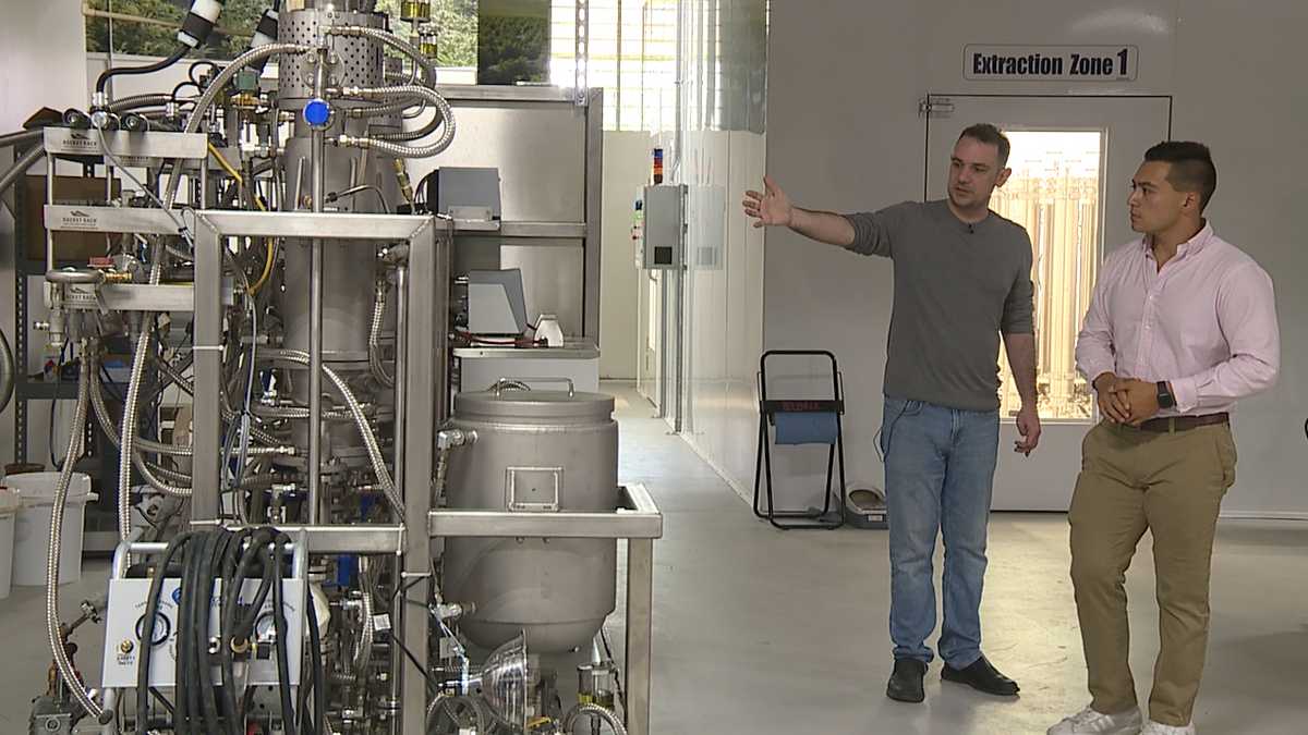 'We looked all over South Carolina': Hemp processing plant opens in the ...