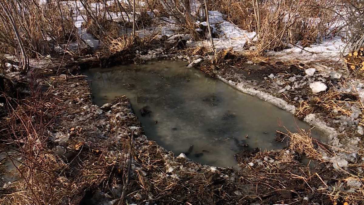 Lewiston residents on edge after human remains found in bog