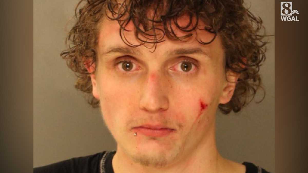 Suspect kicks out rear window of police car, officers say