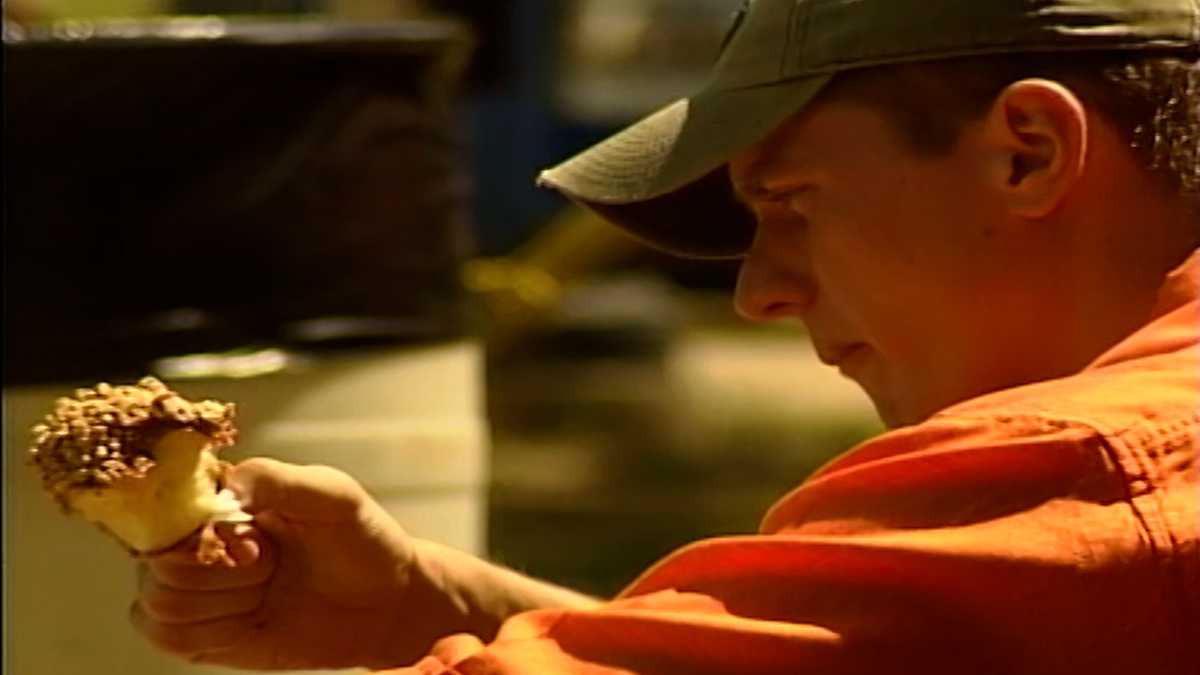 Family challenged to eat from every state fair food stand in 2001