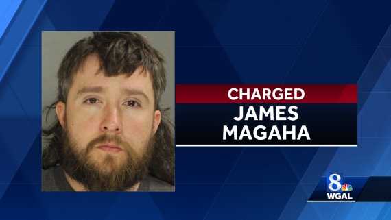 Man charged in Dauphin County hit-and-run turns himself in