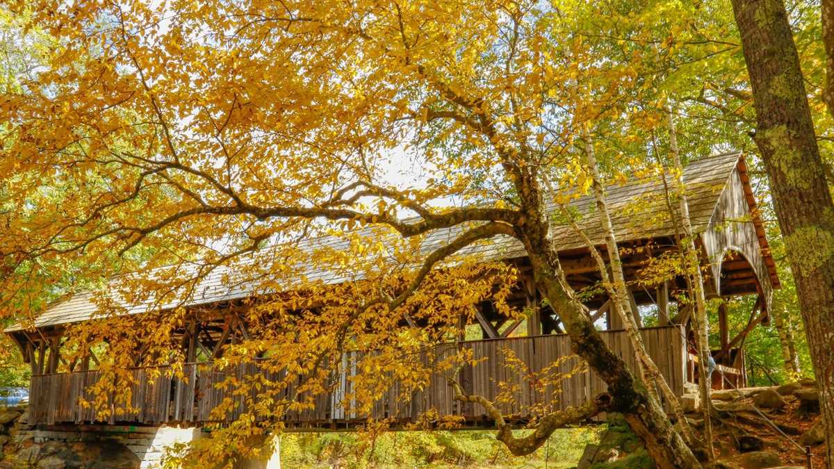 Check out the fall colors across Maine from our u local members