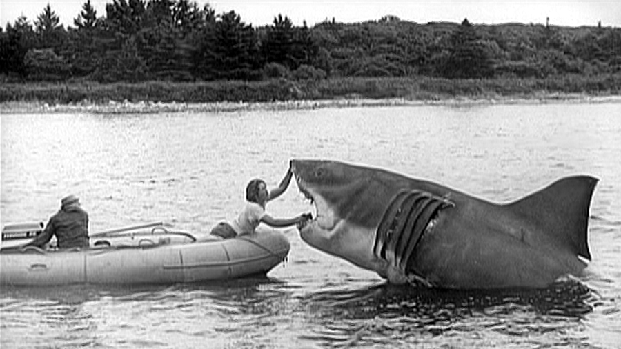 Reflecting on how Martha's Vineyard became 'Jaws' territory