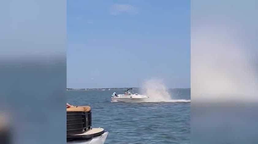 Whale smashes into boat at Jersey Shore, knocks woman overboard