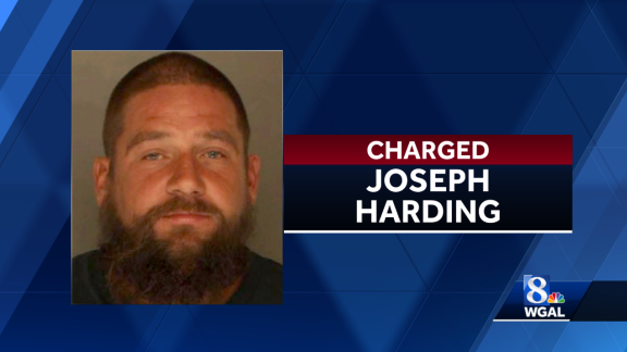 Police: Man sexually assaulted teenage girl at York County park