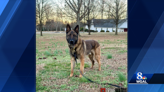 Lebanon City Police Department to soon welcome new K-9 officer