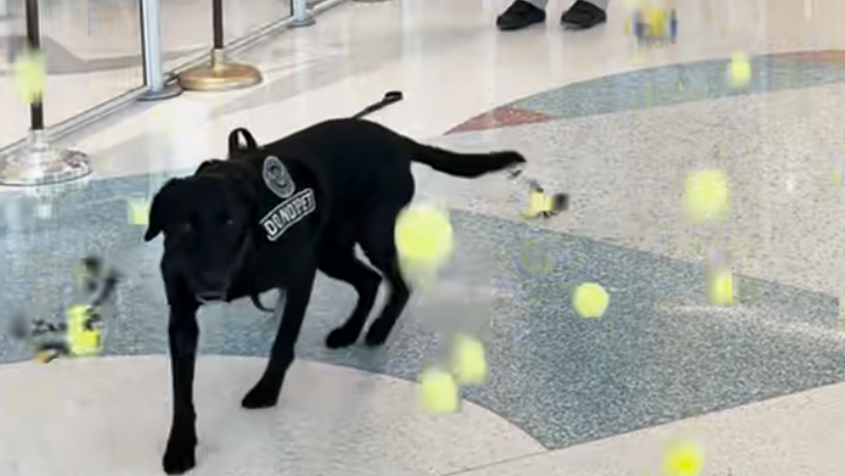 Explosive detection K9 gets tennis-ball sendoff at OKC airport