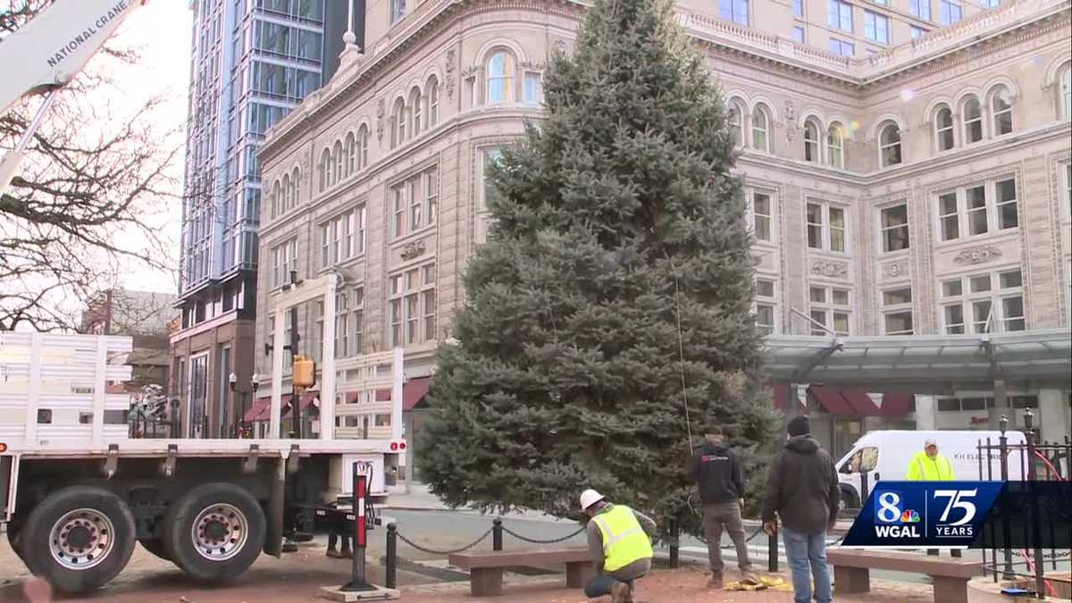 Lancaster's Christmas tree arrives in Penn Square
