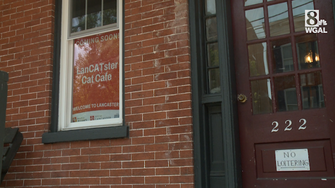 LanCATster Cat Café to open this fall