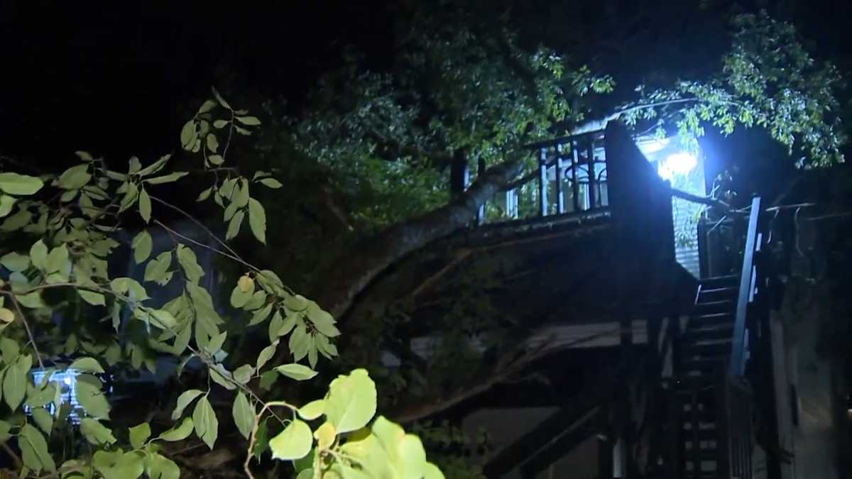 50-foot tree no match for storm, crashes through roof of Mass. home