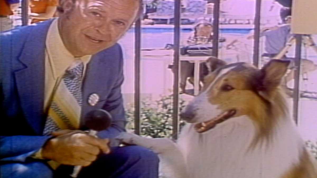Beloved TV dog Lassie gave hilarious interview in retro find