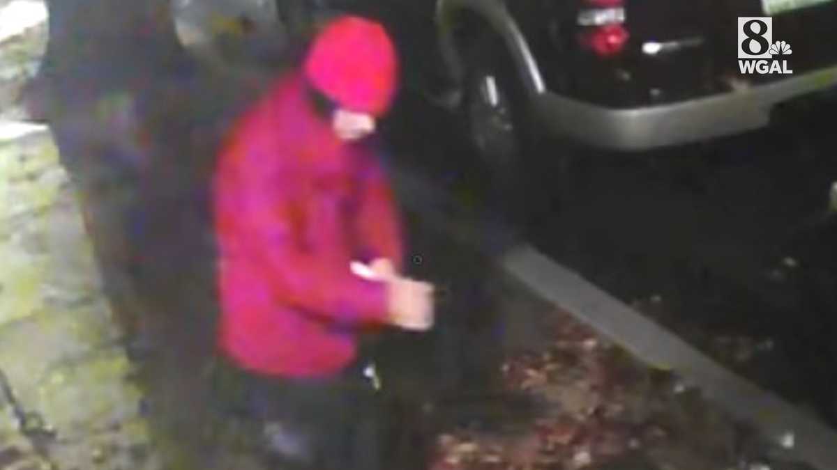 Police: Man kicks small dog in Lancaster