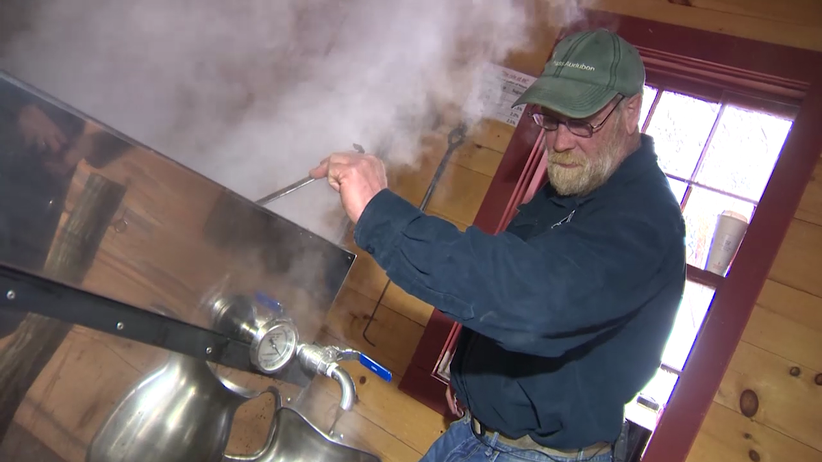 Maple sugaring season hits prime time
