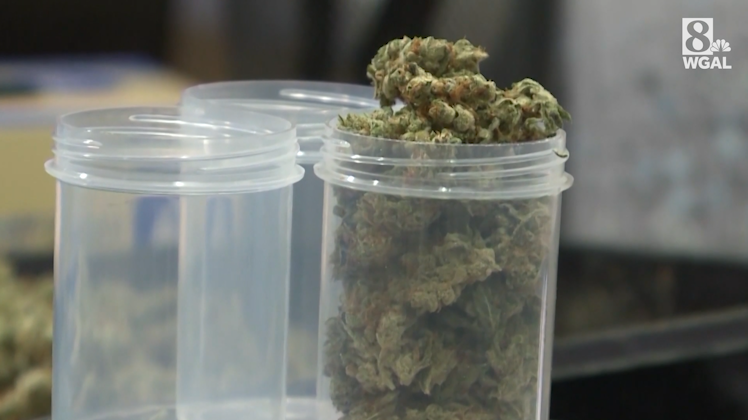 North York Borough to vote on marijuana decriminalization