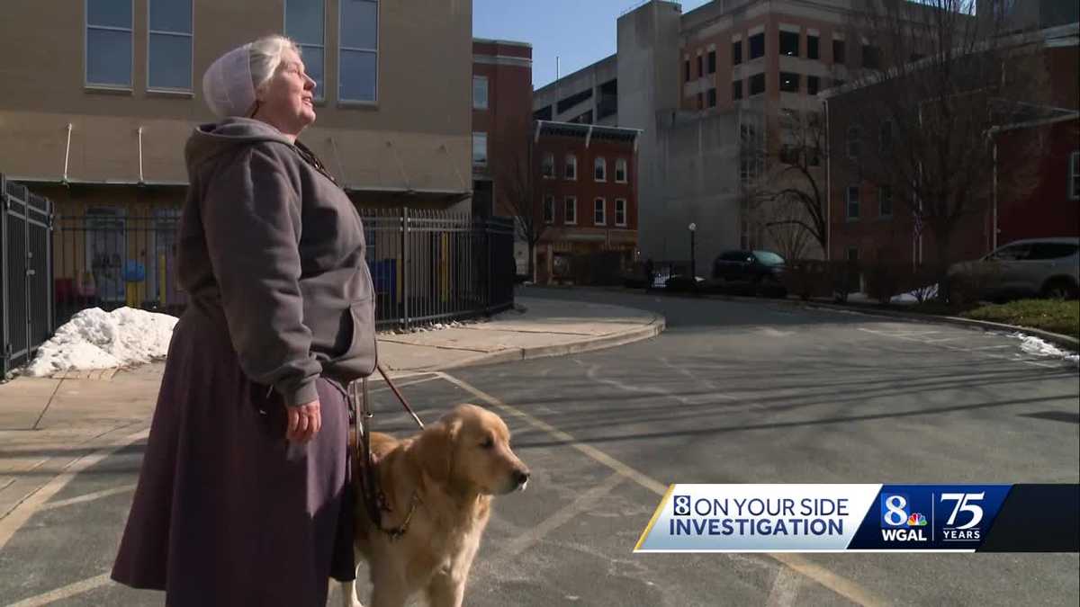 Pennsylvania woman says Lyft, Uber denied her rides because of service dog
