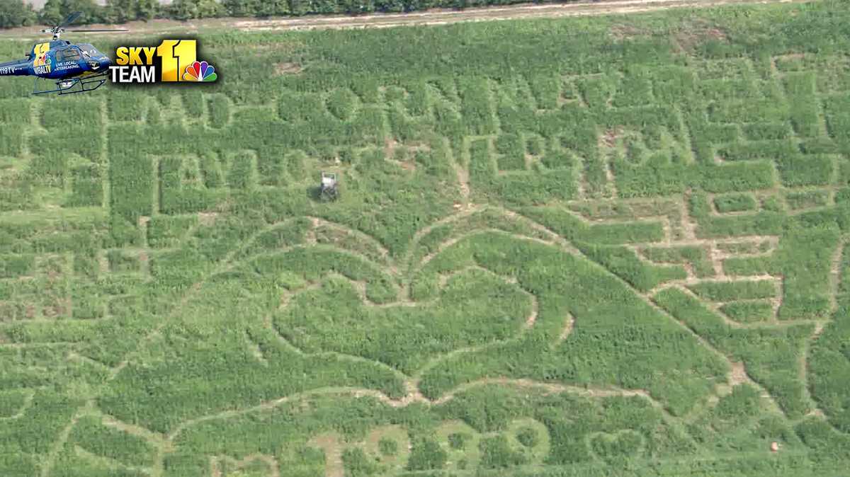 Taylor Swift is the theme of 2024 Maryland Corn Maze