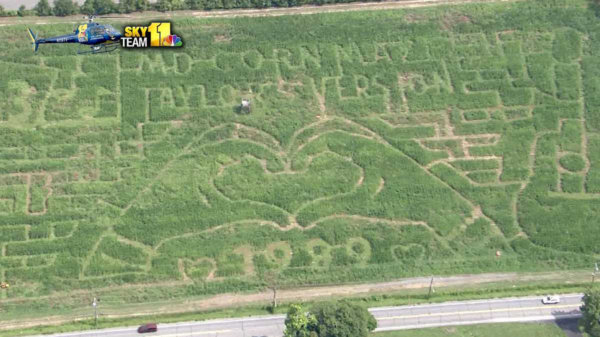 Swiftie-themed Maryland Corn Maze opens in September