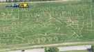 MD Corn Maze opens Taylor Swift themed maze in Gambrills