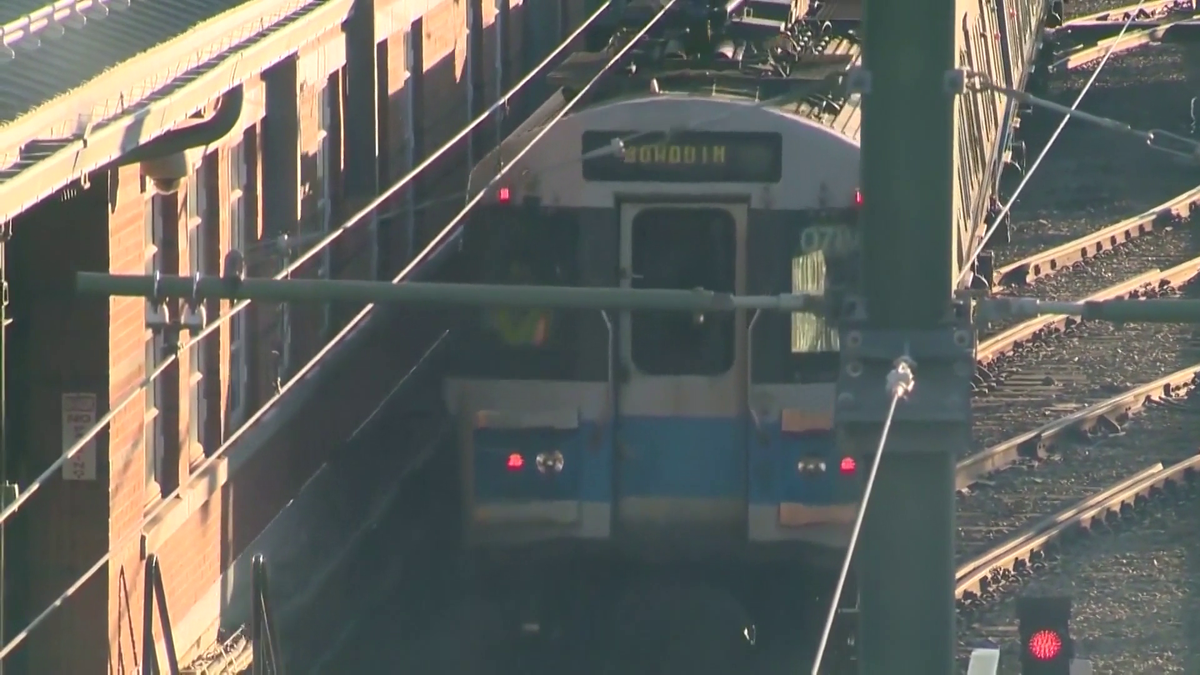 Part of Blue Line shut down for 2 weeks to improve train speed, reliability