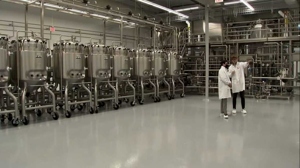 A lab has made lab-grown meat and says it's the future of protein