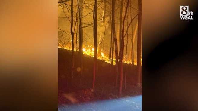 Fire crews team up to battle Michaux State Forest wildfires