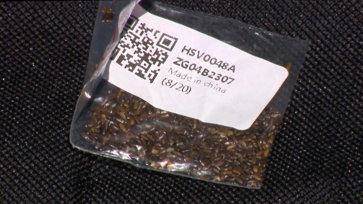 Did you get mystery seeds from China? Here's what you should do