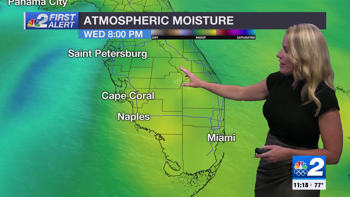 Mild conditions overnight in Southwest Florida