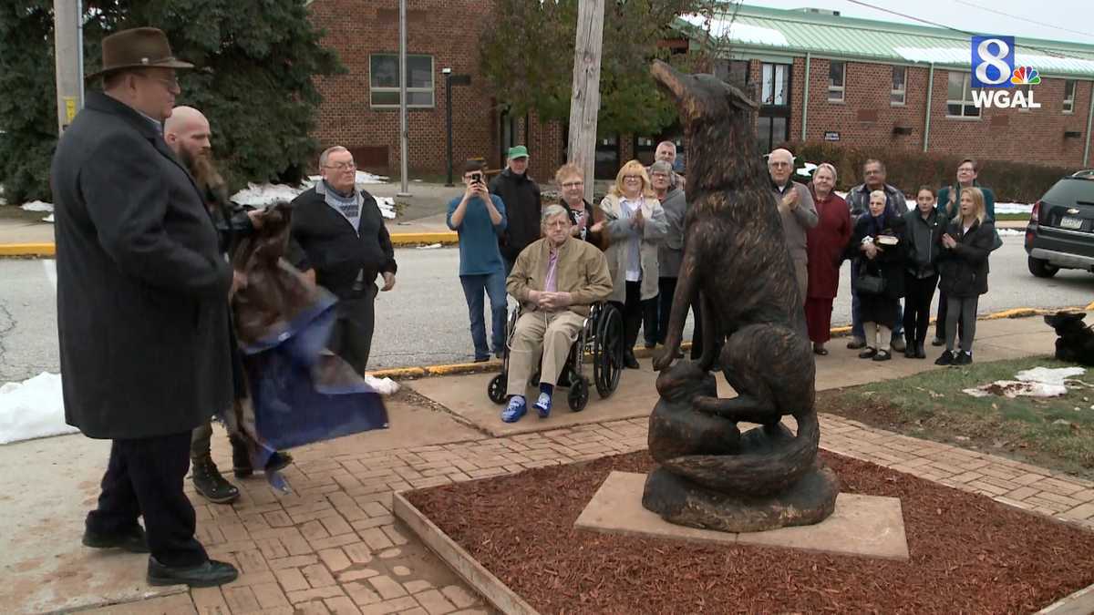 There's a new wolf in town