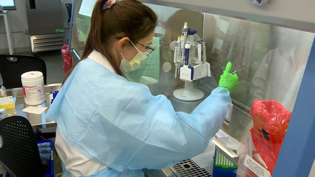 Northeastern University laboratory tracking COVID-19 variants