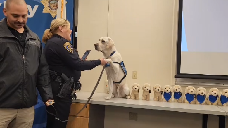 Officer Mochi sworn in at CSU, ready to paws-itively enforce the law