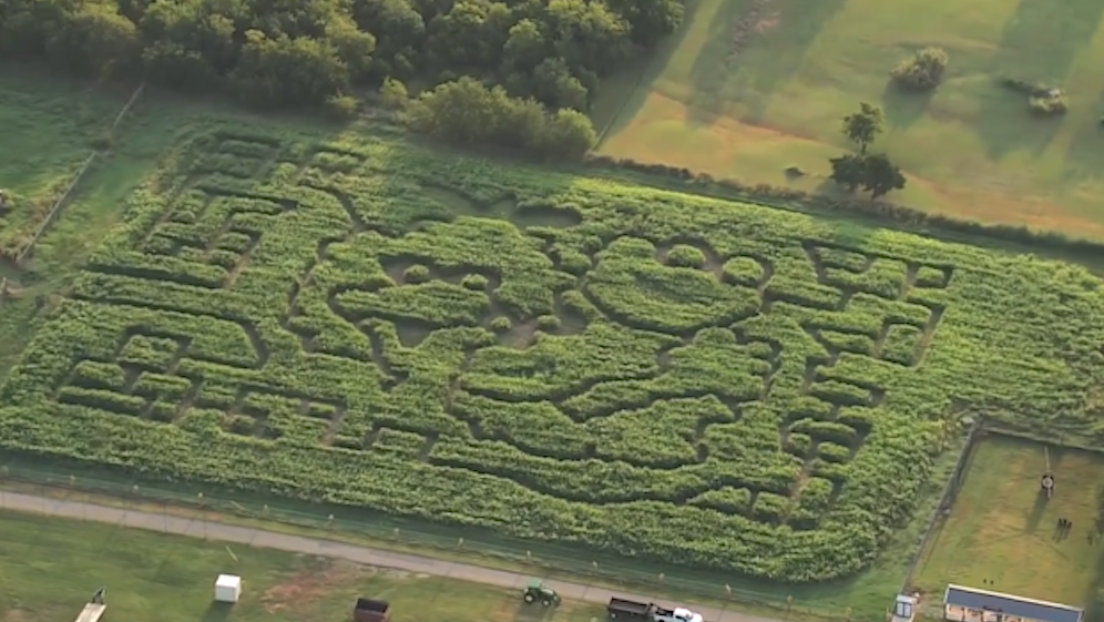 'Sesame Street' maze among fun to be had at Orr Family Farm