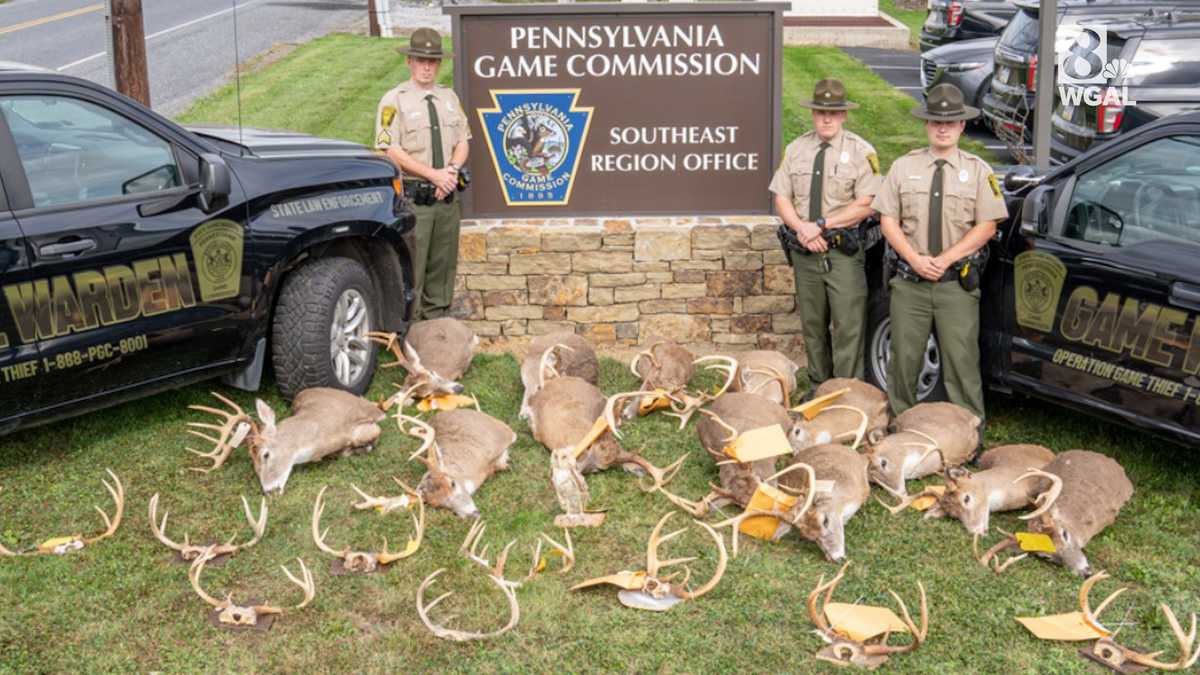 Chester County deer poaching ring busted, PGC says