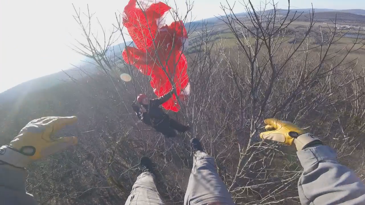 VIDEO: ALEA rescues paraglider stuck in tree