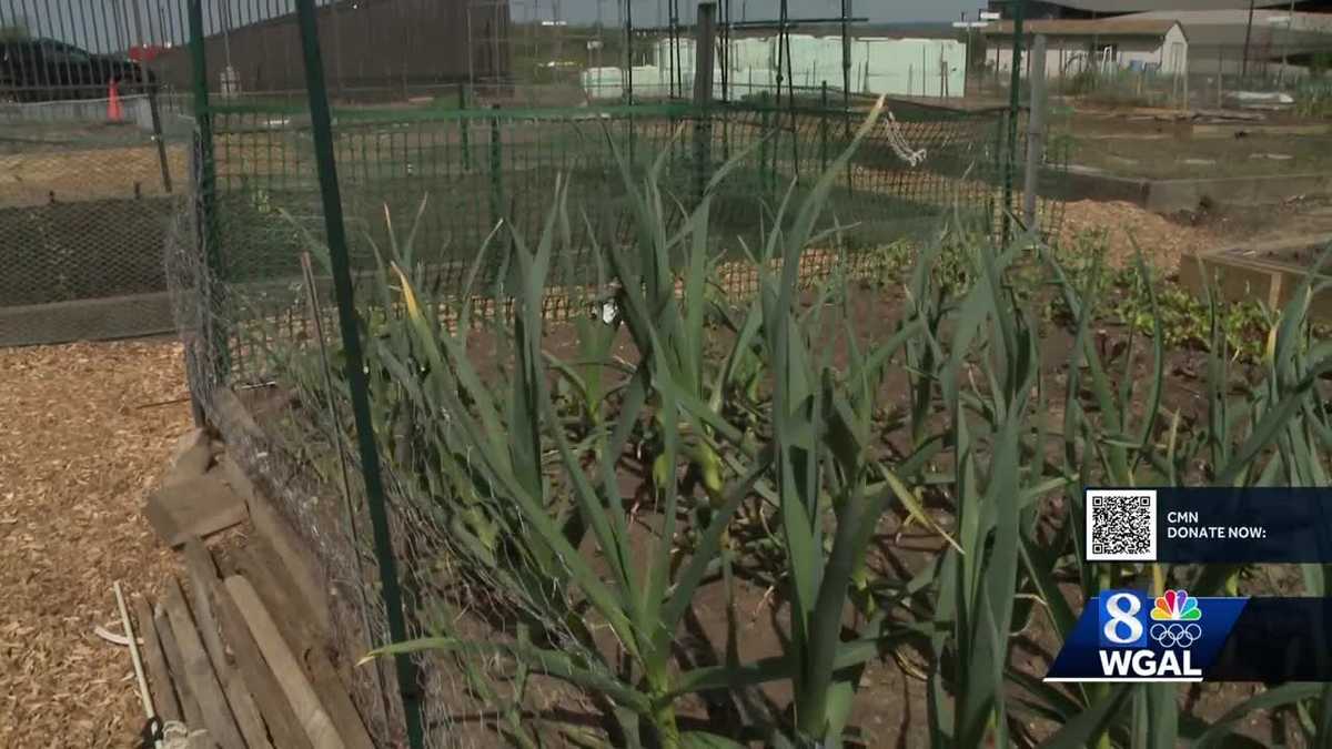 Community garden program benefits from CMN Telethon