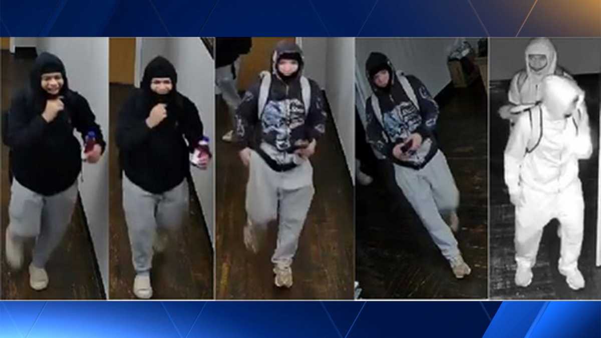 Baseballs signed by Red Sox star stolen, syrup poured on electronics in ...