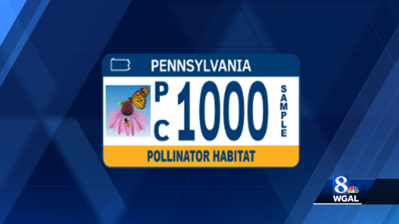 Pa. vehicle owners can now purchase pollinator license plate