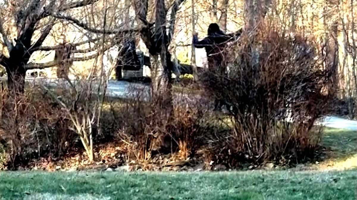 Men arraigned in pursuit, crash on North Shore