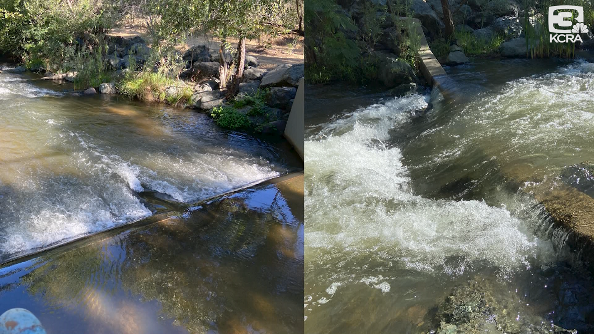 Explore Outdoors: Lincoln oasis highlights salmon run