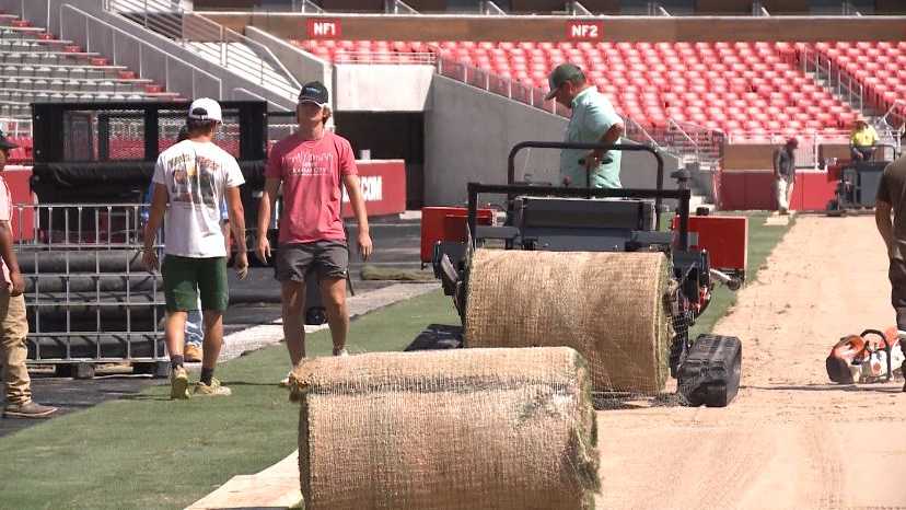Natural grass returns to Razorback Stadium