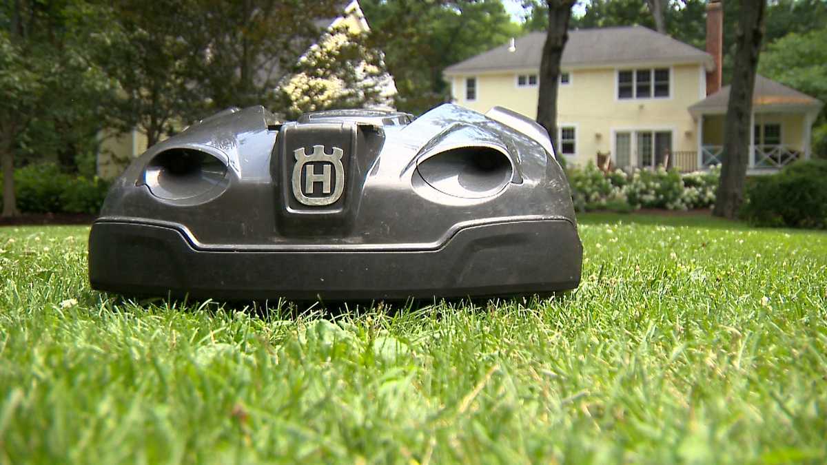 Meet the robot that can mow your lawn for you, every day