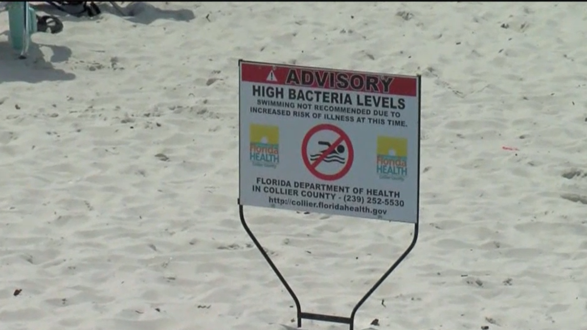 Health advisory issued for elevated levels of bacteria at Naples Pier