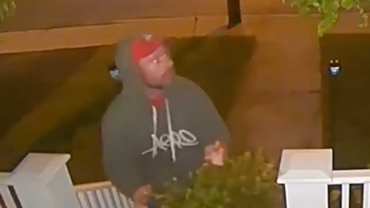 Video captures man stealing hanging plants from porch of home