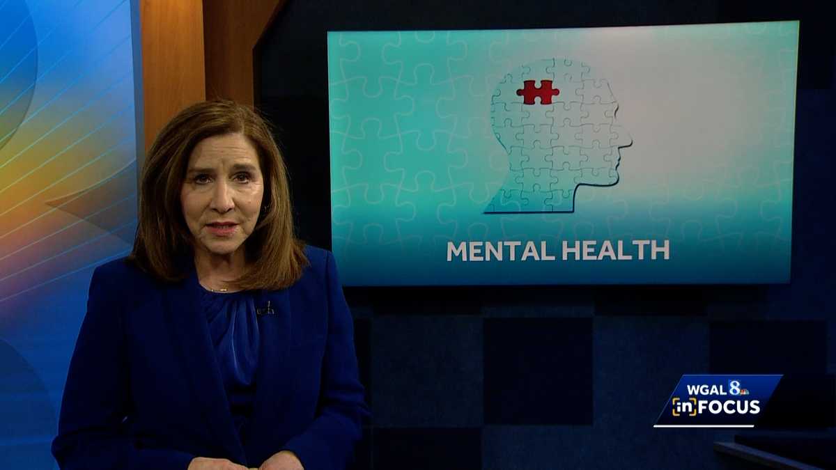 WGAL 8 In Focus: Addressing mental health in schools