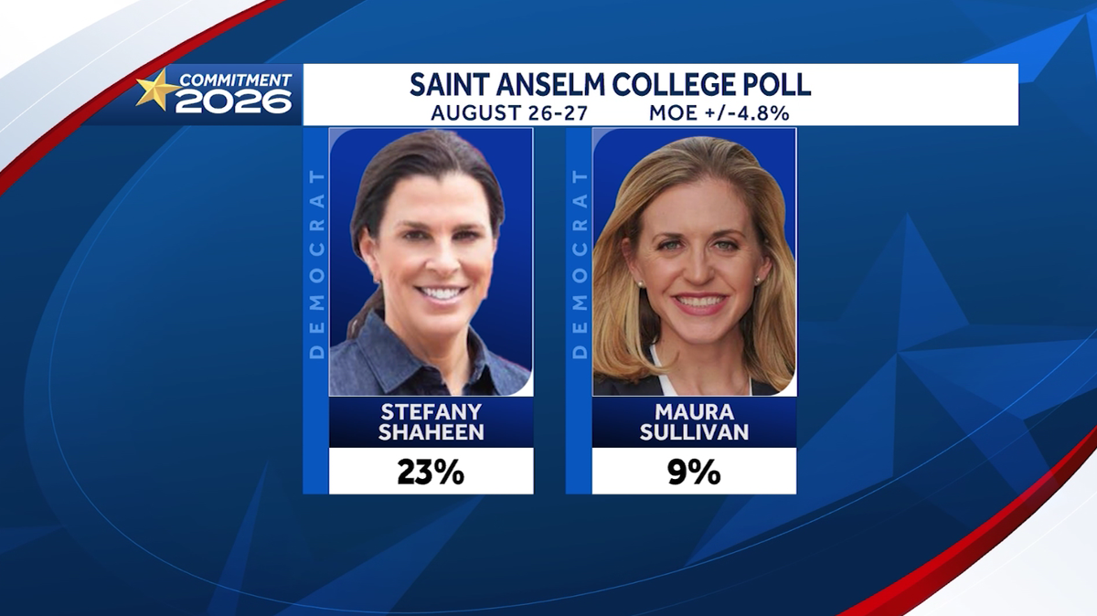 Poll shows Shaheen leading Democrats in CD-1