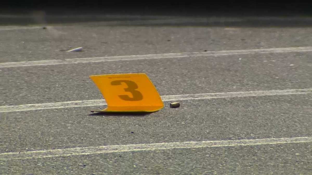 Grandmother hit by stray gunfire in Chelsea, Mass., family says